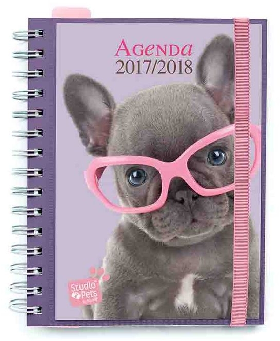 Agenda escolar 2017-18 15x19 cm, Semana vista STUDIO PETS DOG